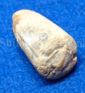 Shiloh Civil War Relics Catalog